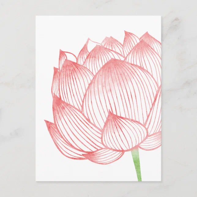 Lotus Art Postcard | Zazzle
