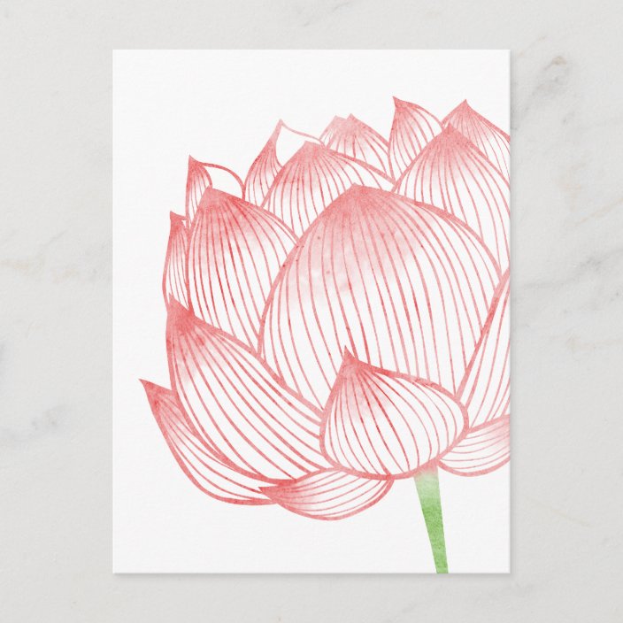 Lotus Art Postcard | Zazzle.co.uk