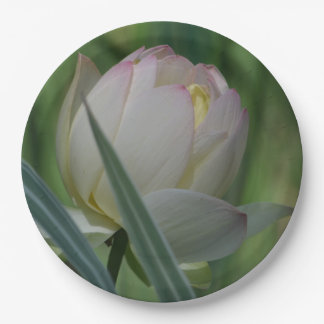 Buddha Plates | Zazzle.co.uk