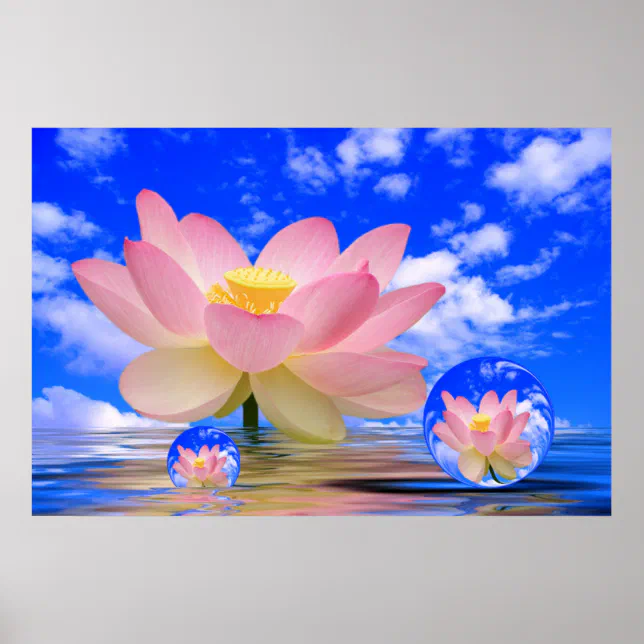Lotus Flower Born in Water Poster | Zazzle