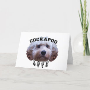 Cockapoo Cards | Zazzle UK