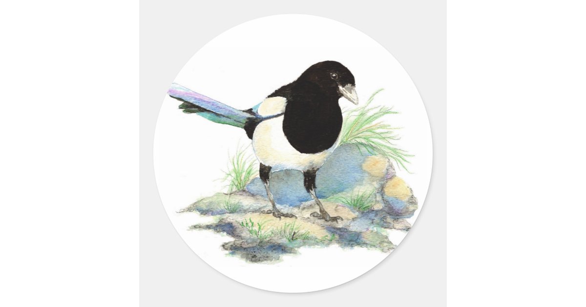 Magpie - Watercolor Bird Classic Round Sticker | Zazzle