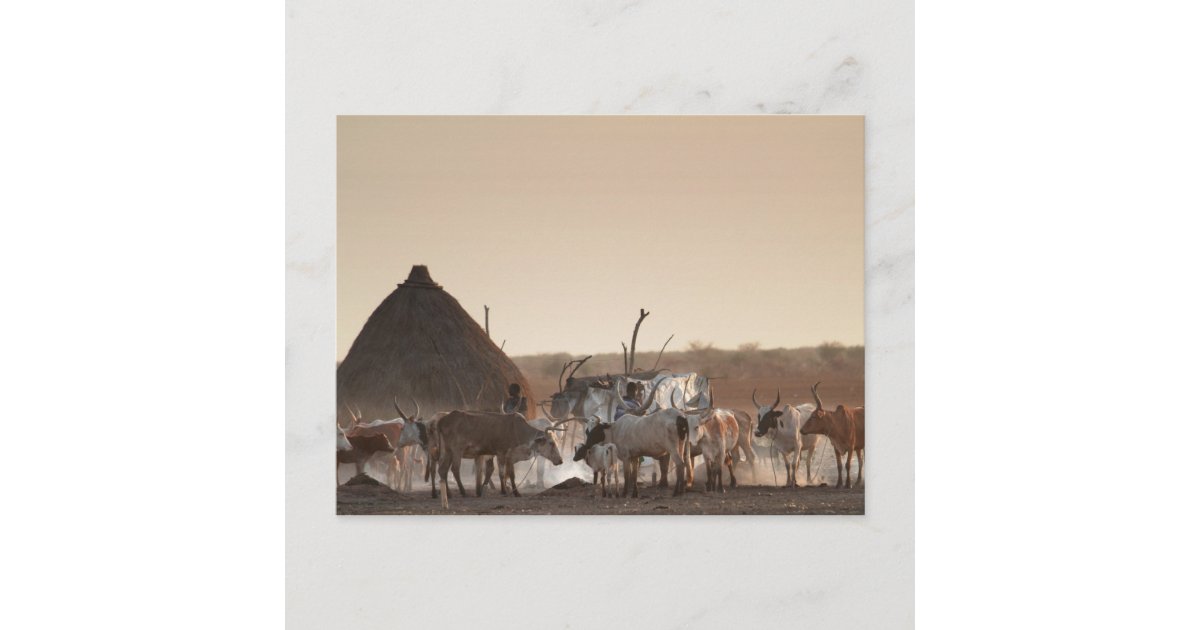 Malakal, village of Dinka ethnic group Postcard | Zazzle