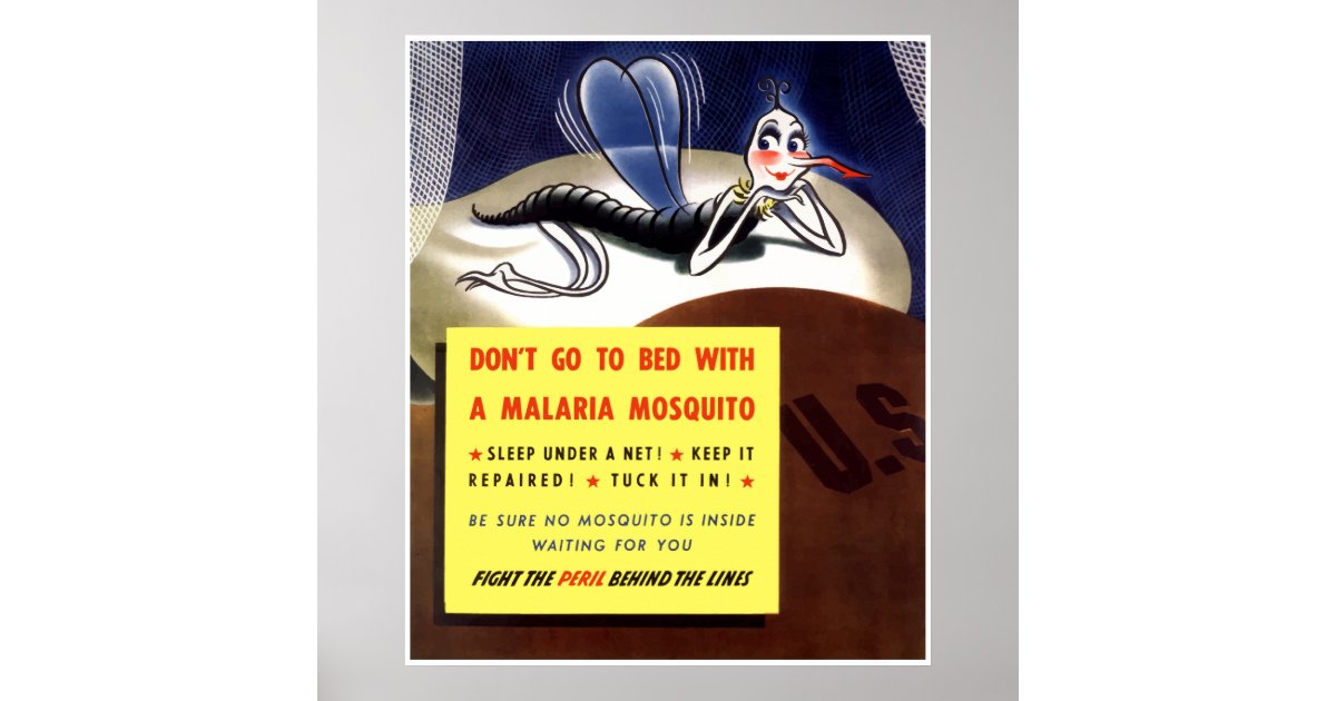 Malaria Mosquito -- Border Poster | Zazzle
