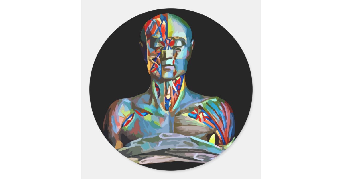 male body parts human anatomy abstract art classic round sticker | Zazzle