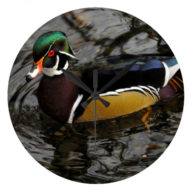 Duck Wall Clocks | Zazzle UK