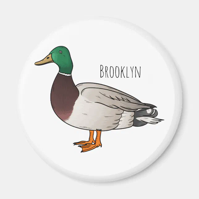 Mallard duck cartoon illustration magnet | Zazzle