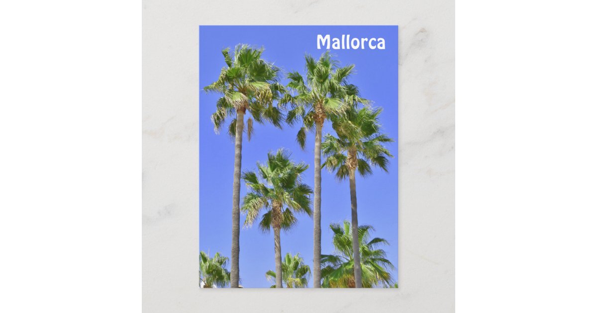 Mallorca Palm Trees Postcard | Zazzle