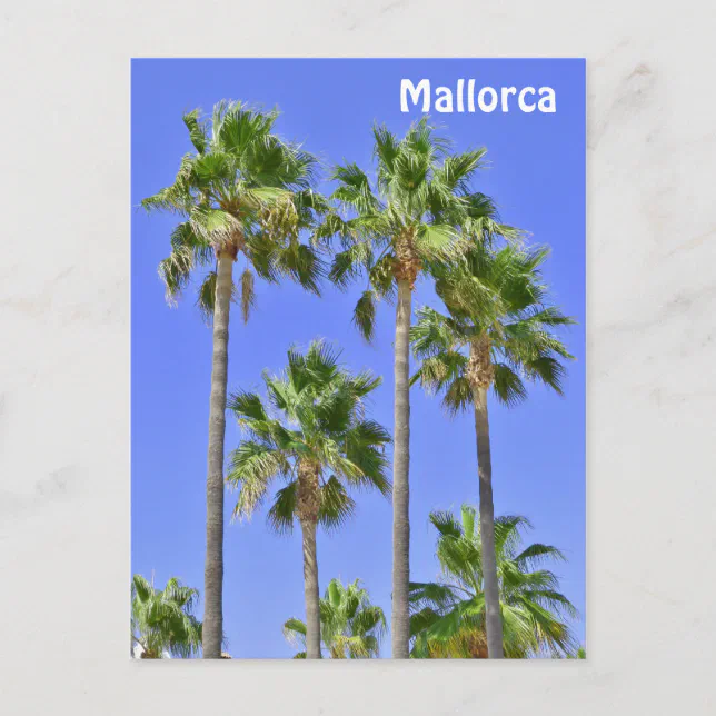 Mallorca Palm Trees Postcard | Zazzle