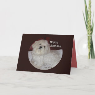 Maltese Birthday Cards | Zazzle UK
