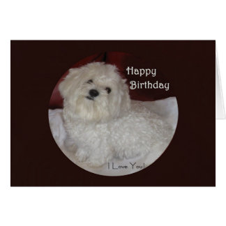 Maltese Birthday Cards & Invitations | Zazzle.co.uk