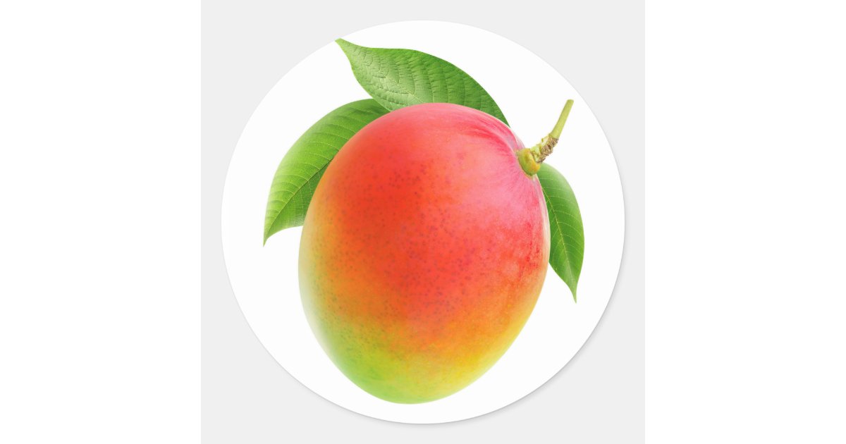 Mango Classic Round Sticker | Zazzle