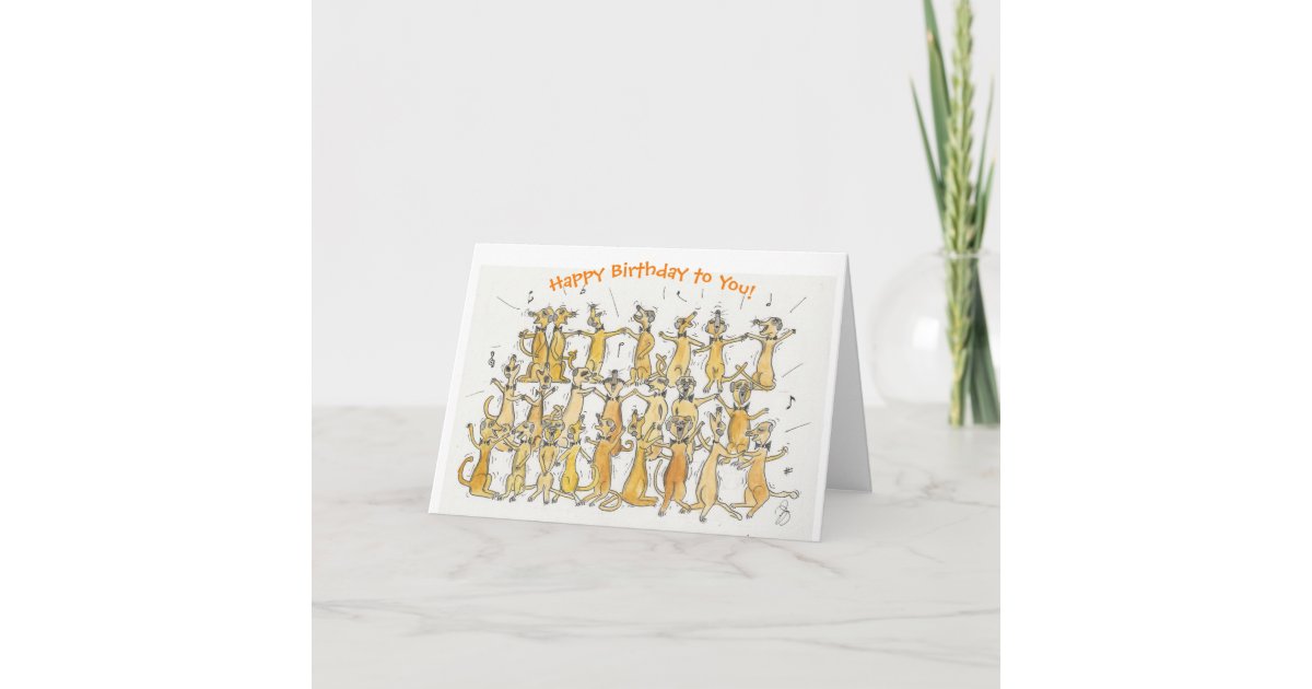 Meerkat Choir Happy Birthday! Card | Zazzle