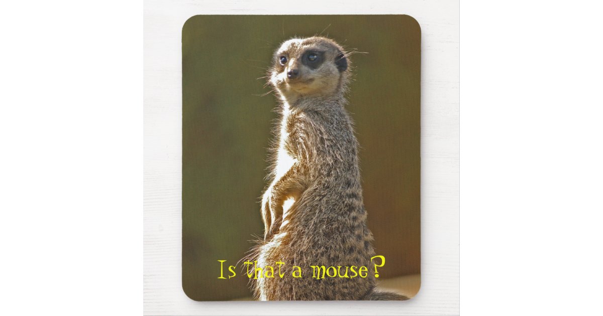Meerkat Mousepad c | Zazzle