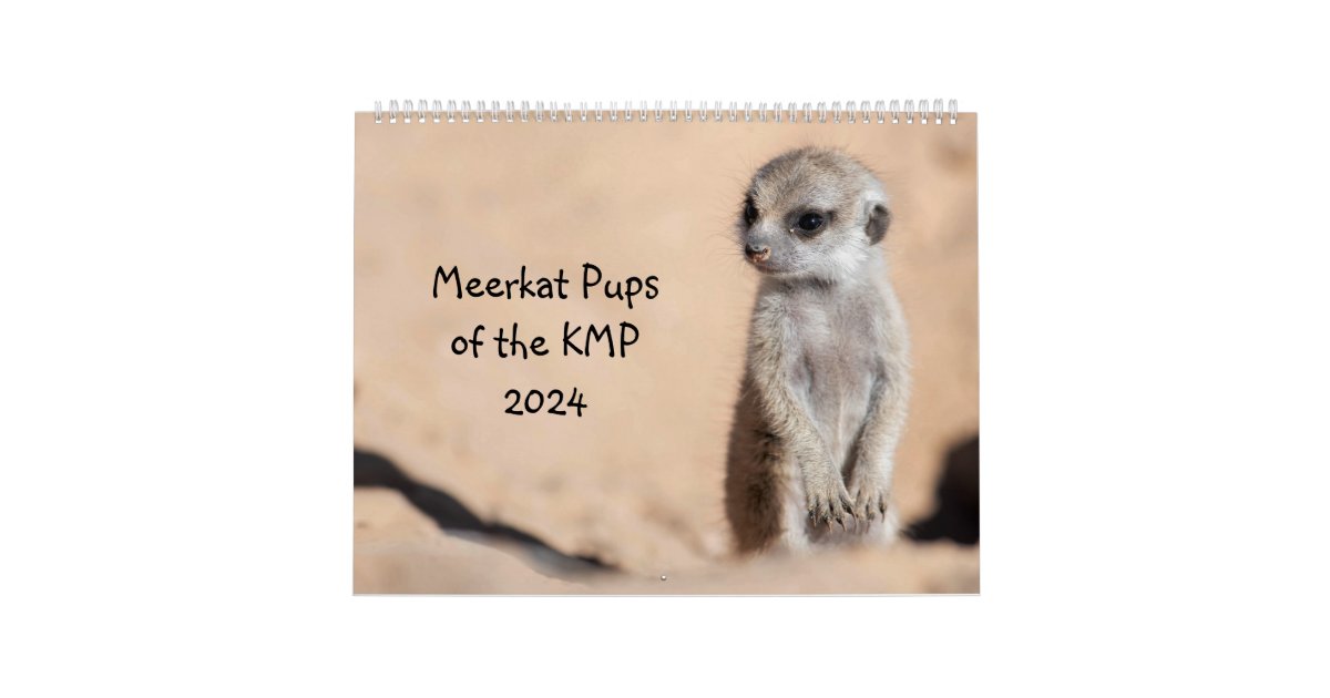 Meerkat Pups of the KMP 2024 Calendar | Zazzle