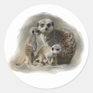Meerkat Stickers & Labels | Zazzle UK