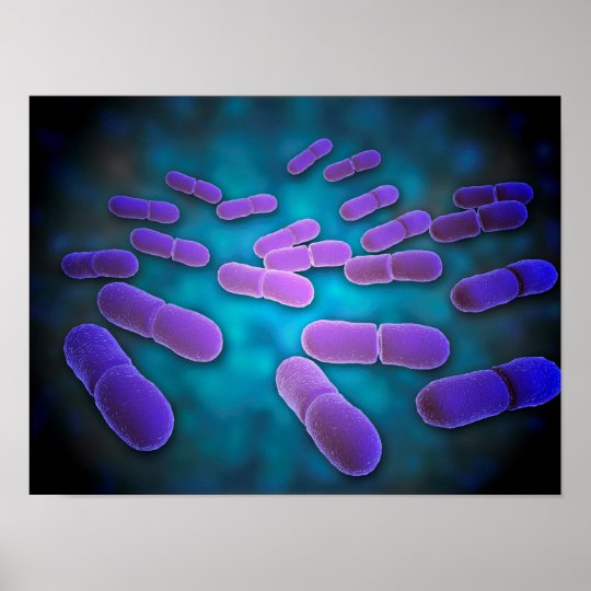 Microscopic View Of Listeria Monocytogenes 5 Poster | Zazzle.co.uk