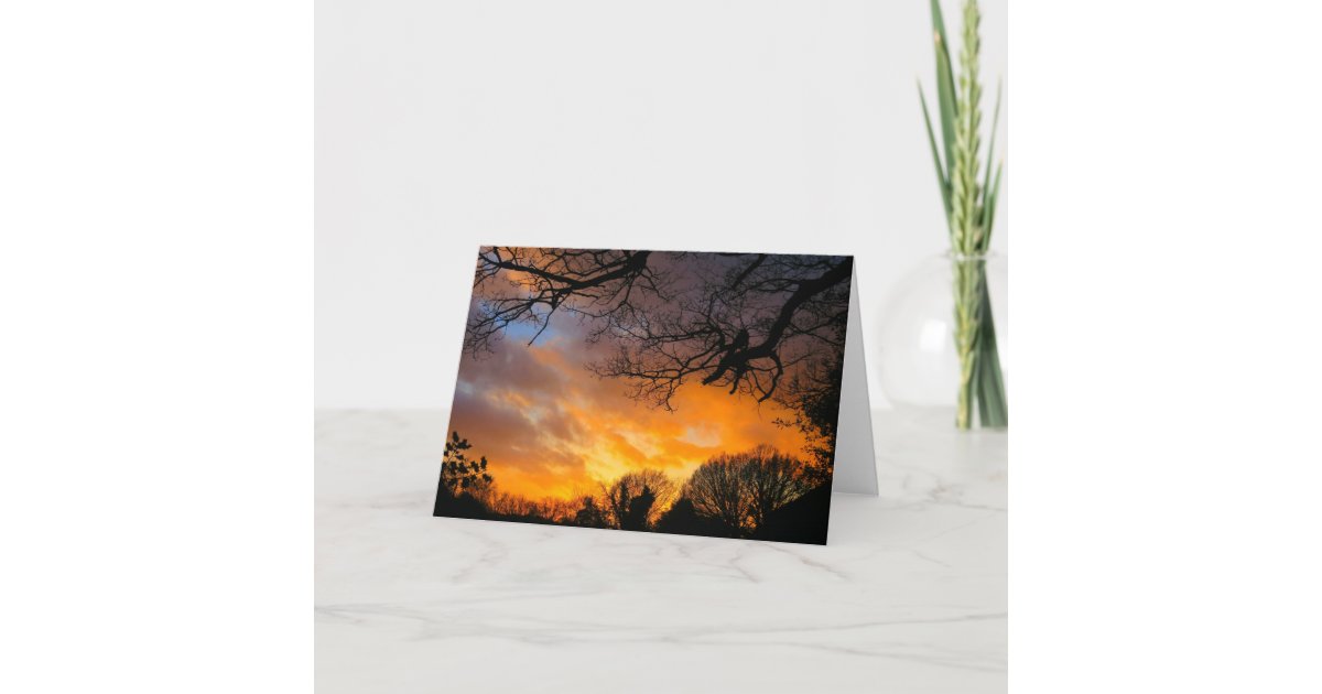 Midwinter Sunset - Greeting Card | Zazzle