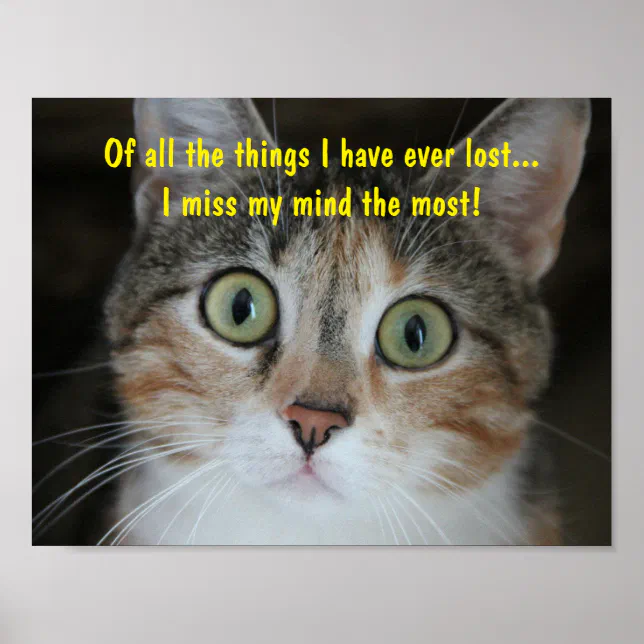 Missing Mind Cat Poster | Zazzle