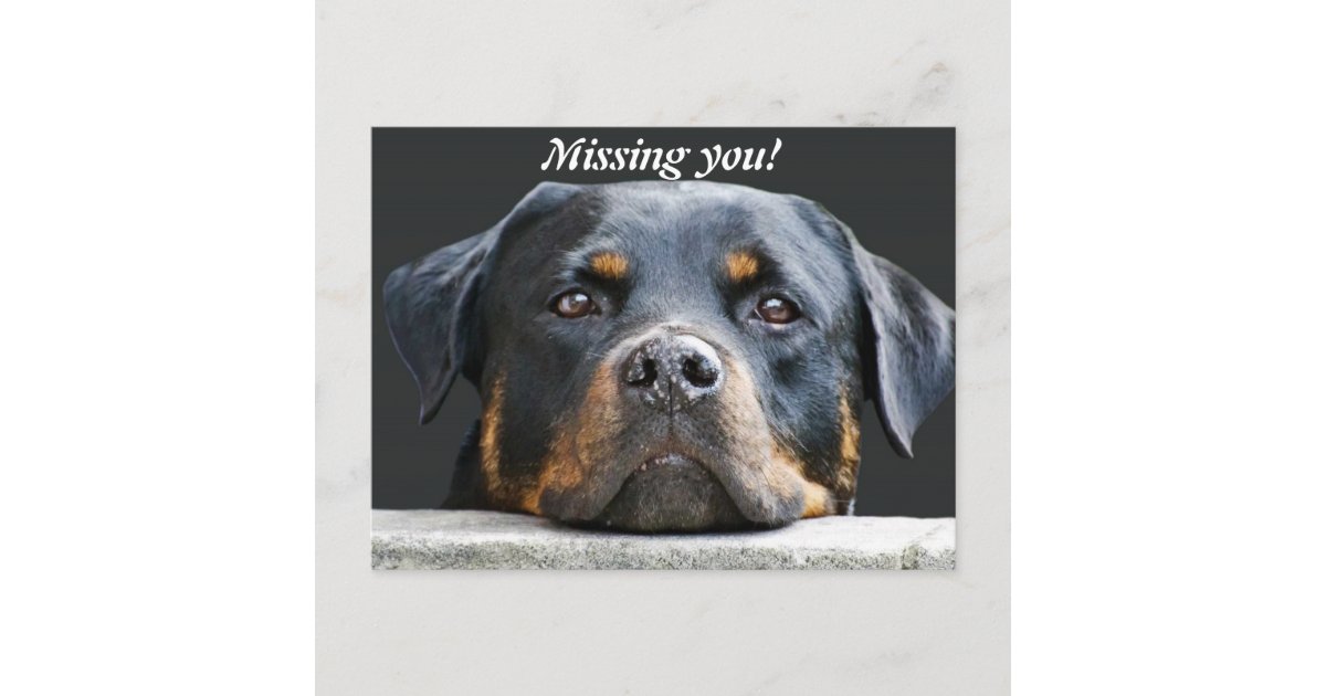 Missing you! postcard | Zazzle
