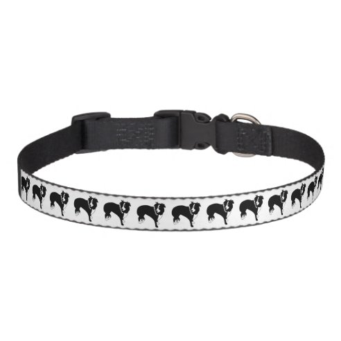Border Collie Dog Collars | Zazzle.co.uk