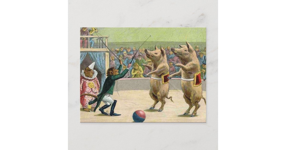 Monkey Ringmaster and Circus Pigs Postcard | Zazzle