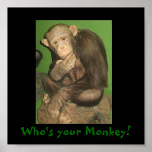 Funny Monkey Posters & Prints | Zazzle UK