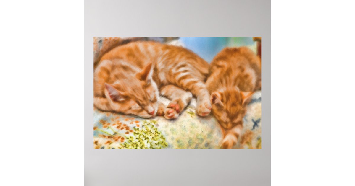 MOTHER CAT KITTEN NAP POSTER | Zazzle