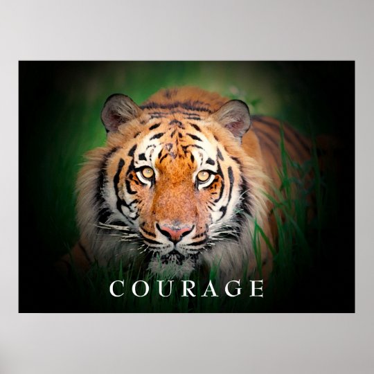 Motivational Courage Tiger Poster | Zazzle.co.uk