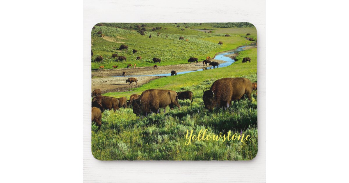 Mouse Pad-Yellowstone Buffalo Mouse Mat | Zazzle