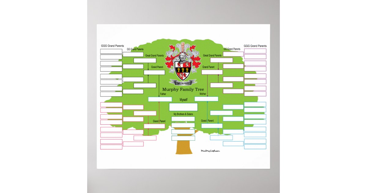 Murphy Family Tree Poster | Zazzle