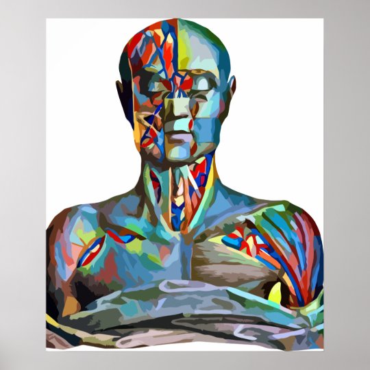 Muscle Anatomy Man Colorful Abstract Art Poster | Zazzle.co.uk