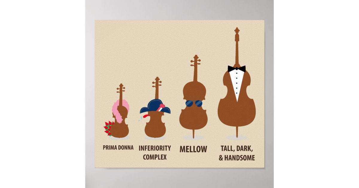 Music Gift String Instrument Family Poster | Zazzle