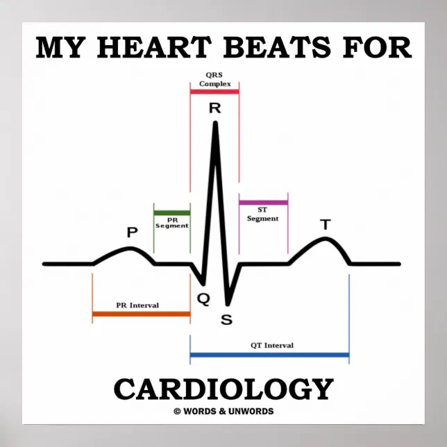 My Heart Beats For Cardiology (ECG / EKG) Poster | Zazzle