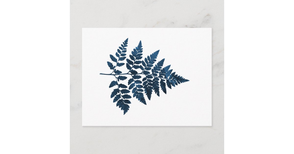Navy Blue Fern Leaf Postcard | Zazzle