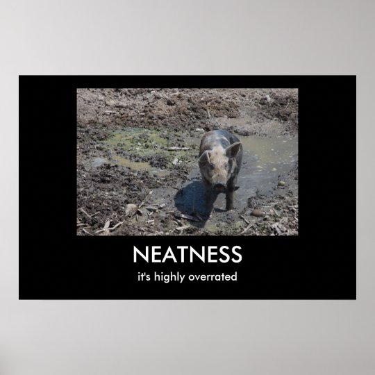 NEATNESS POSTER | Zazzle