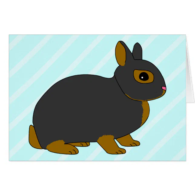 Netherland Dwarf Rabbit | Zazzle