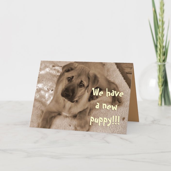 New Puppy Announcement | Zazzle.co.uk