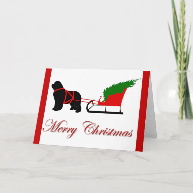Newfoundland Christmas Card | Zazzle