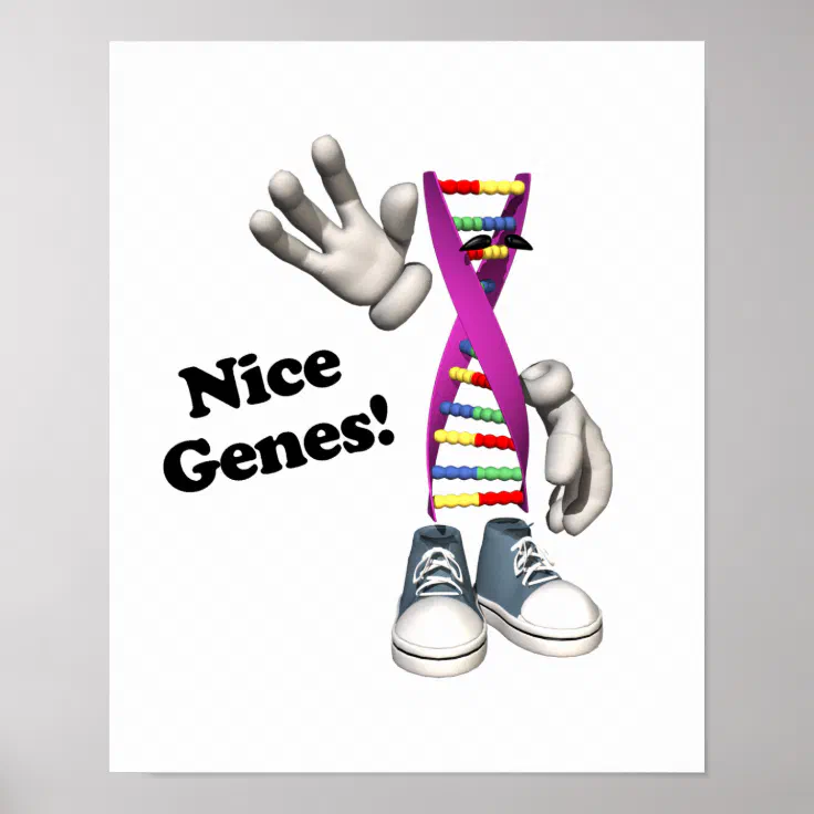 Nice Genes Funny DNA Poster | Zazzle