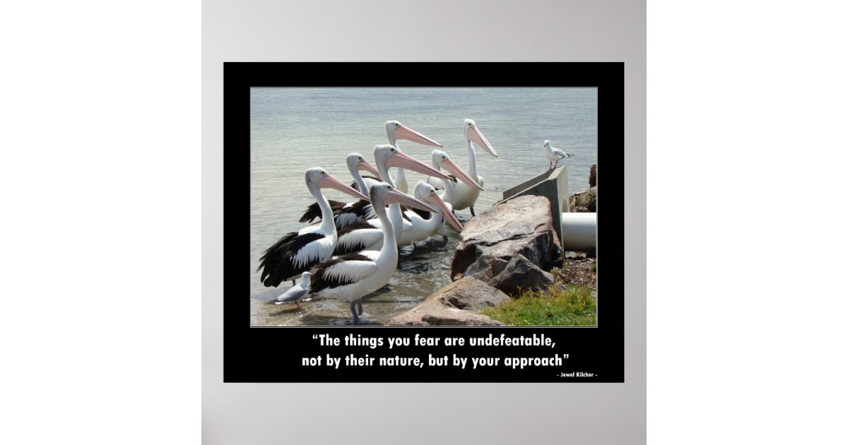 No fear - Motivational Poster | Zazzle