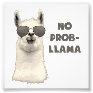 No Problem Funny