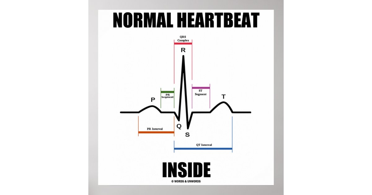 Normal Heartbeat Inside ECG EKG Electrocardiogram Poster | Zazzle