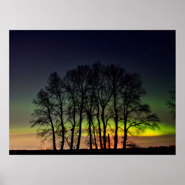 Northern Lights | Manitoba Canada Grande Pointe Poster | Zazzle