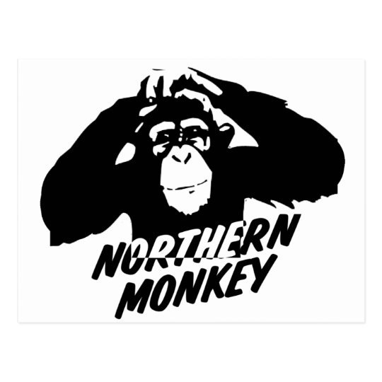 Northern Monkey Postcard | Zazzle.co.uk