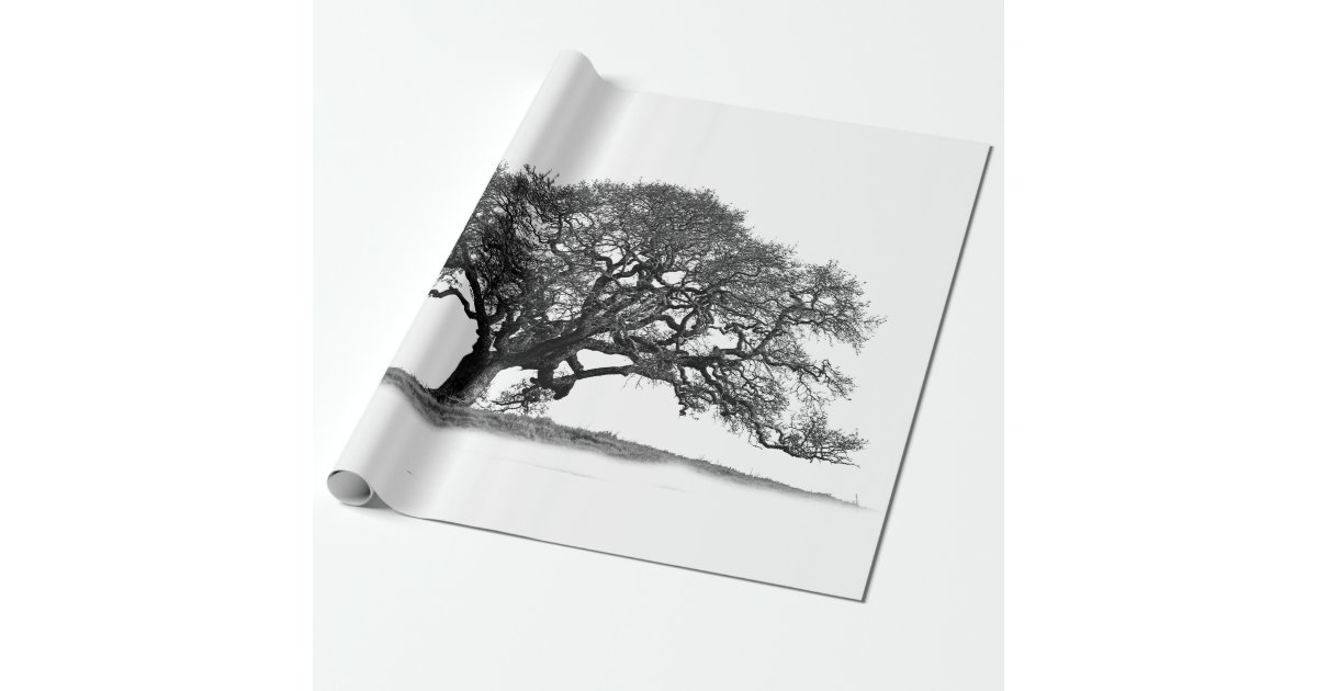 OAK TREE WRAPPING PAPER | Zazzle