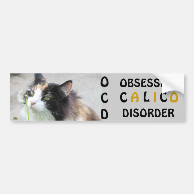 OCD Obsessive Calico Disorder Bumper Sticker | Zazzle