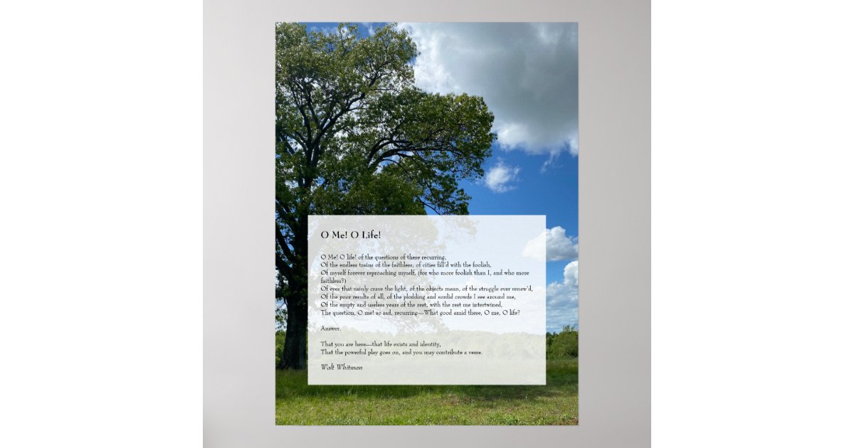 Oh Me! Oh Life! Walt Whitman Poem, Tree & Blue Sky Poster | Zazzle