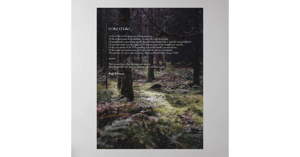 Oh Me! Oh Life! Walt Whitman Poem Wooded Path 3 Poster | Zazzle