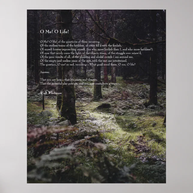 Oh Me! Oh Life! Walt Whitman Poem Wooded Path 3 Poster | Zazzle